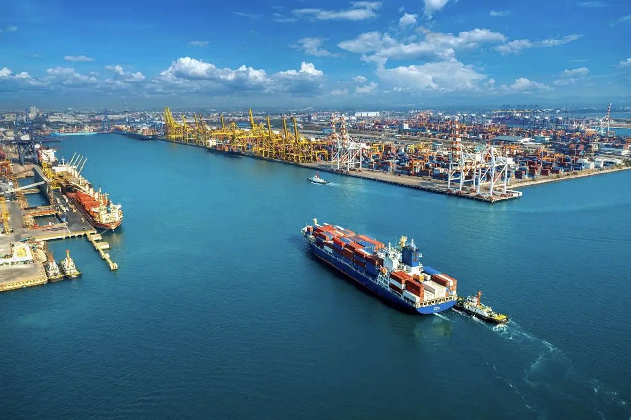 En La CNOG Manifestaron Afectaciones En El Sector Pecuario Por ...