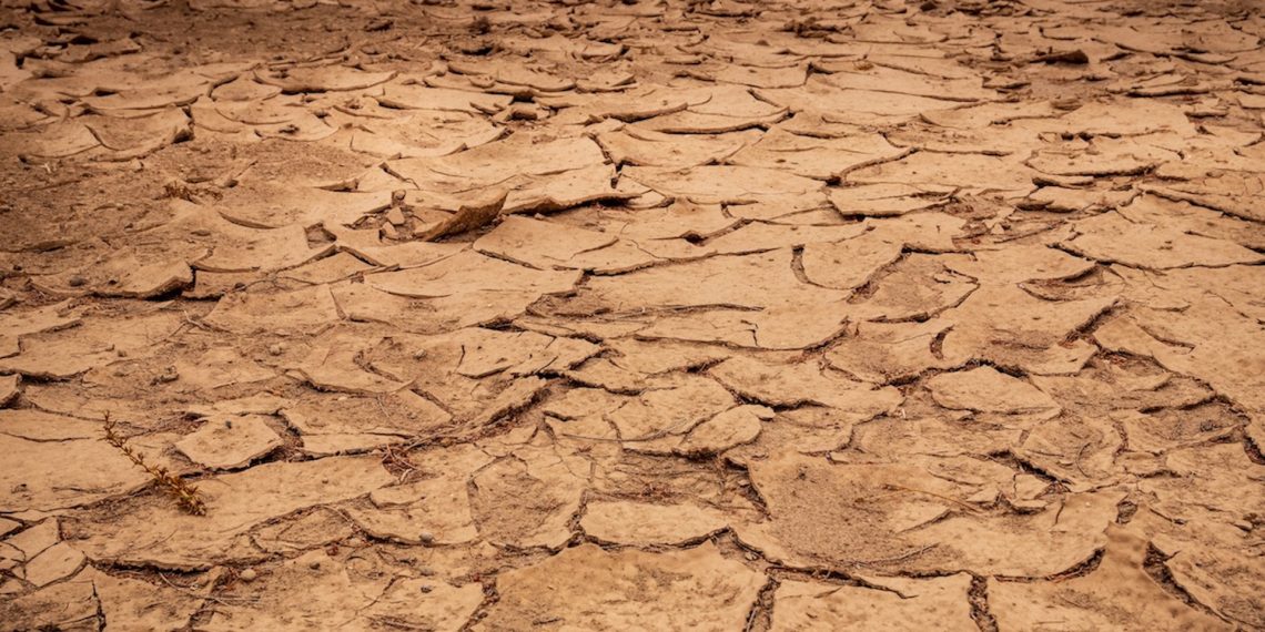 Desgarradora Sequía En Sonora: Ganaderos Venden Todo Y La Tierra Se ...