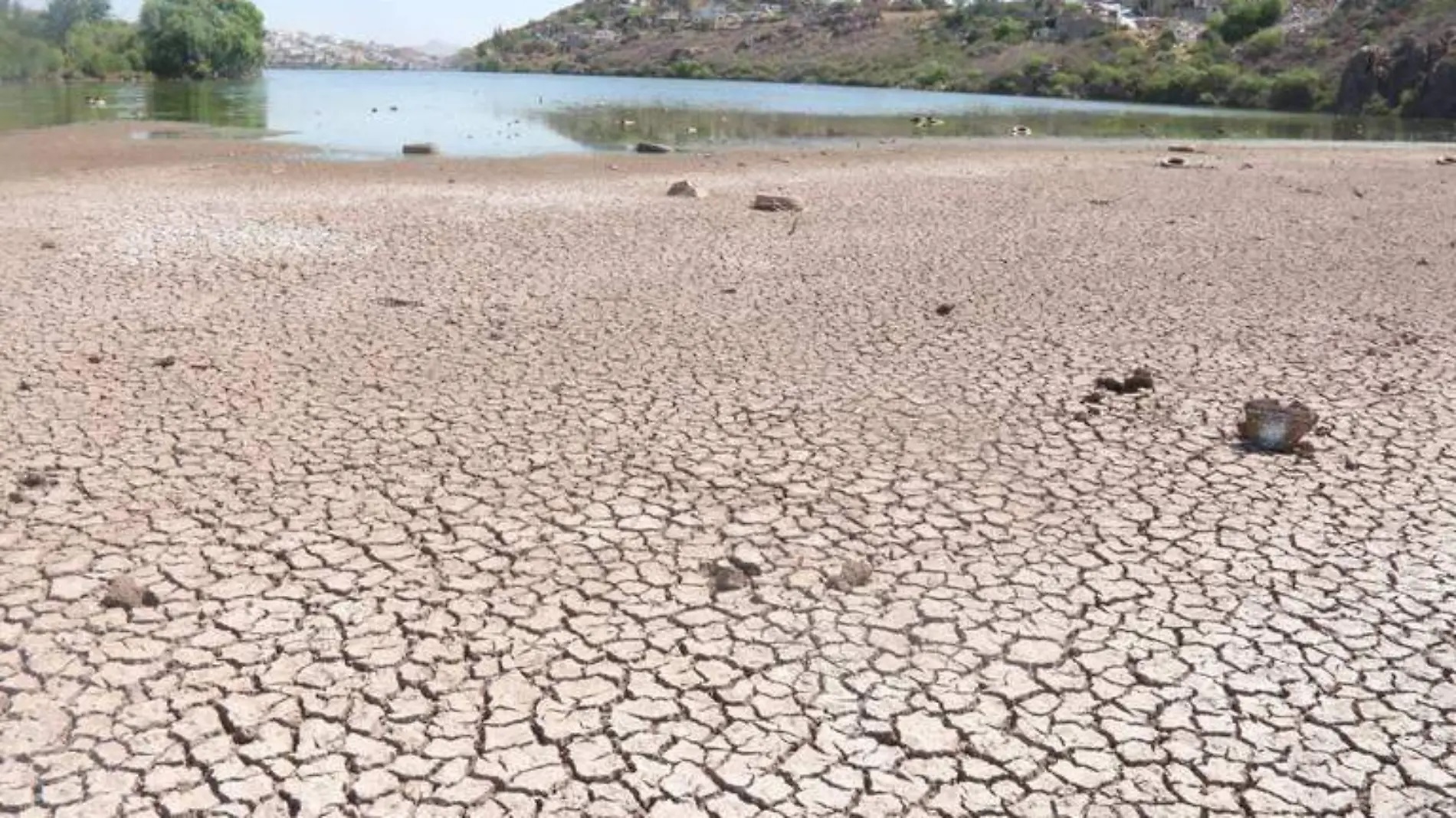 Se Avecina Al 2025 Como El Año Más Difícil Para El Campo: CEACH ...