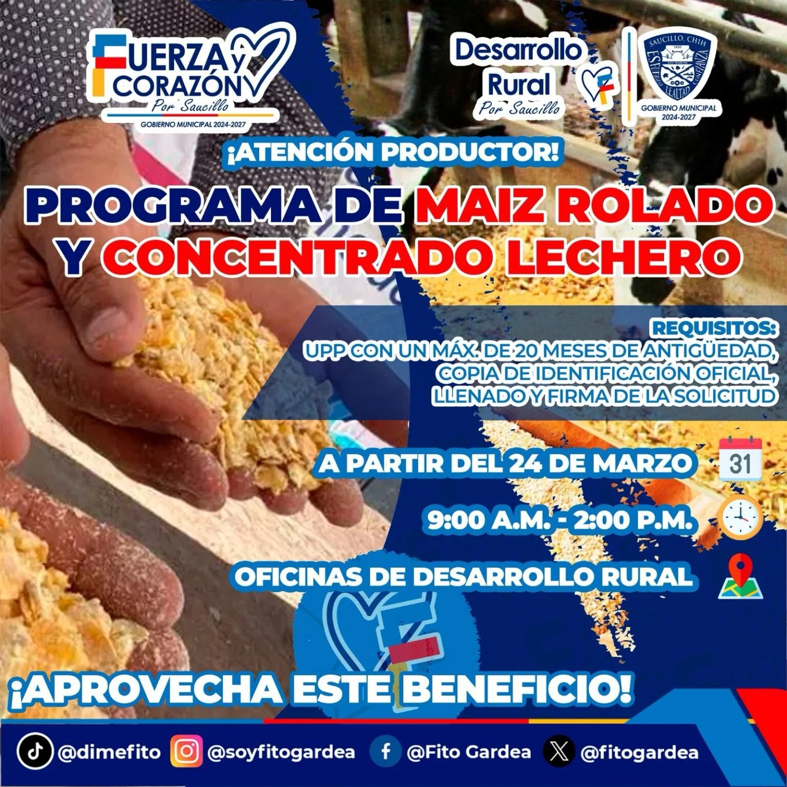 Lanza Fito Gardea Convocatoria Para El Programa De Maíz Rolado Y ...