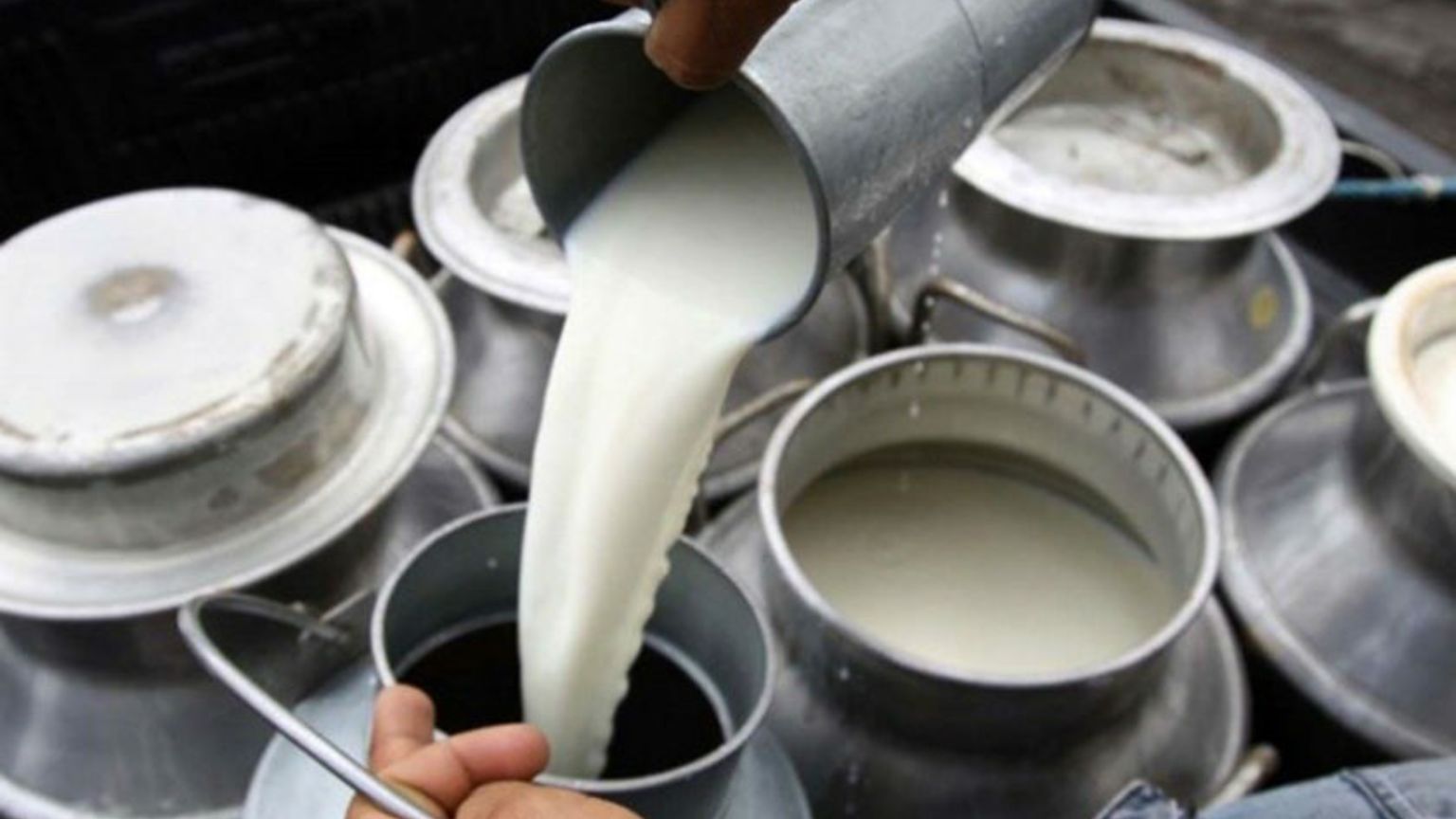 Leche Liconsa 2024: Cuánto Cuesta Y Cómo Registrarte - EDairy News Mexico